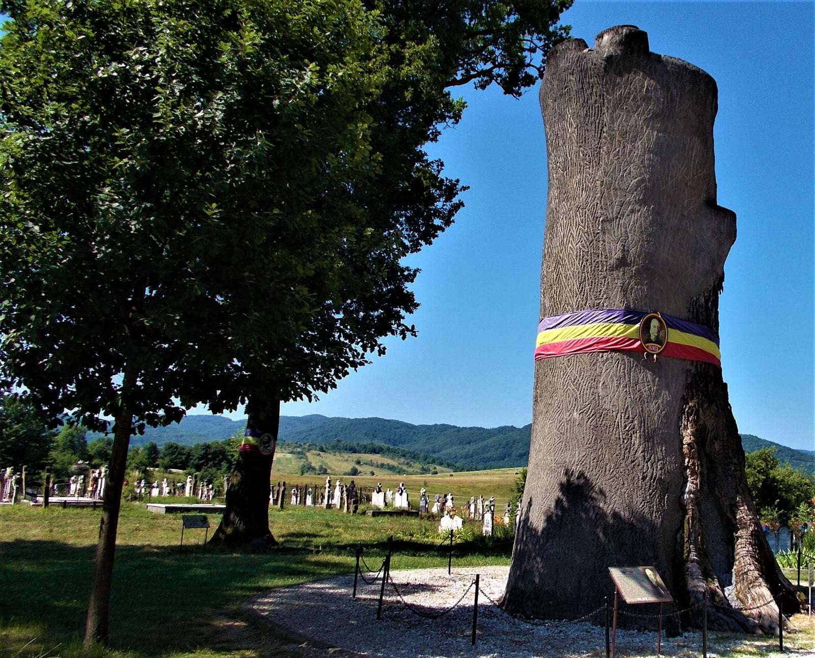 Gorunul lui Horea, arborele legendar împietrit. Cum a fost ținut în ...