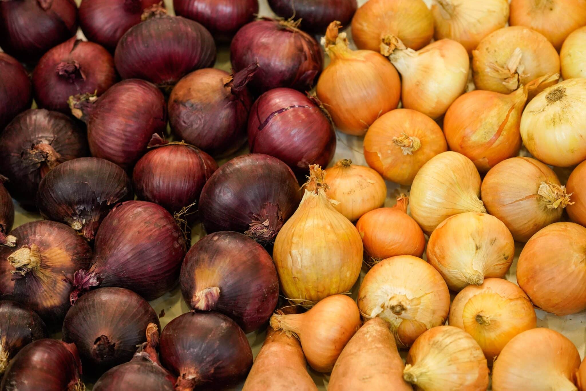 Cum a ajuns banala ceapă să coste 8 lei/kg, deși România este printre ...