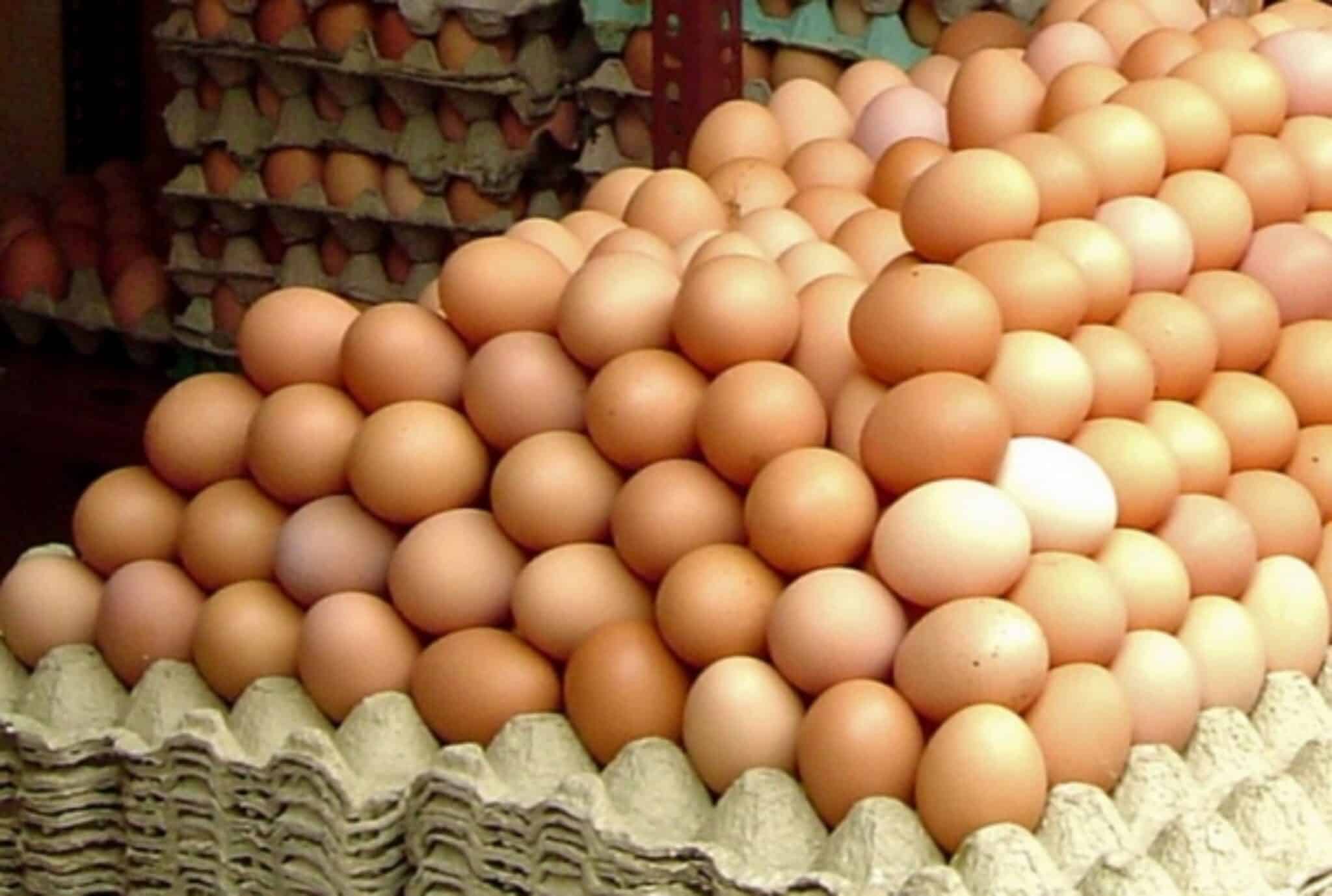 Cererea americană de ouă din România respinsă din cauza reglementărilor ...