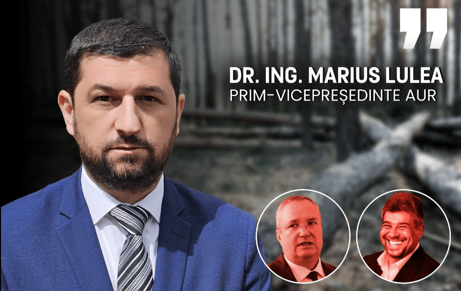 Marius Lulea: Aproape jumătate din lemnul tăiat anual în România este ...