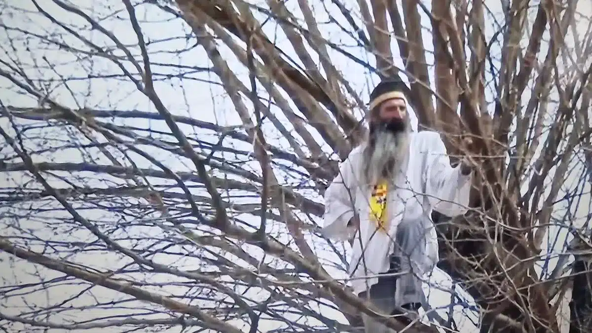 Marcel Ciolacu îl ironizează pe „Stegarul Dac” Cezar Avrămuță: „Hai să ...