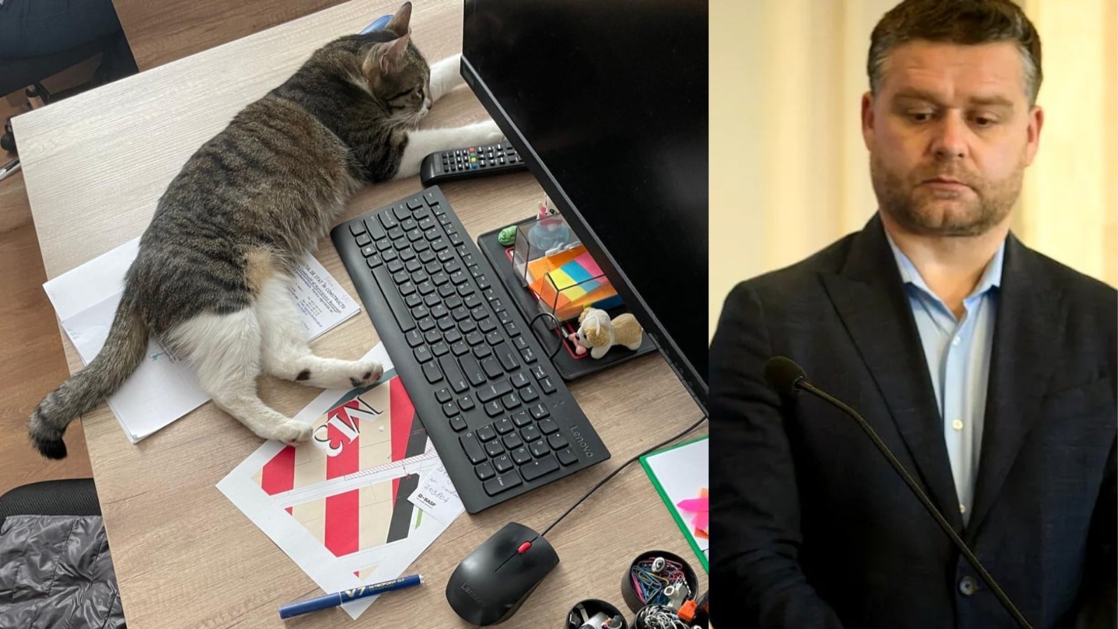 Ciucu e ca motanul care doarme pe biroul de la primărie - 60m.ro